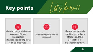 Micropropagation or plant tissue culture and types | PDF