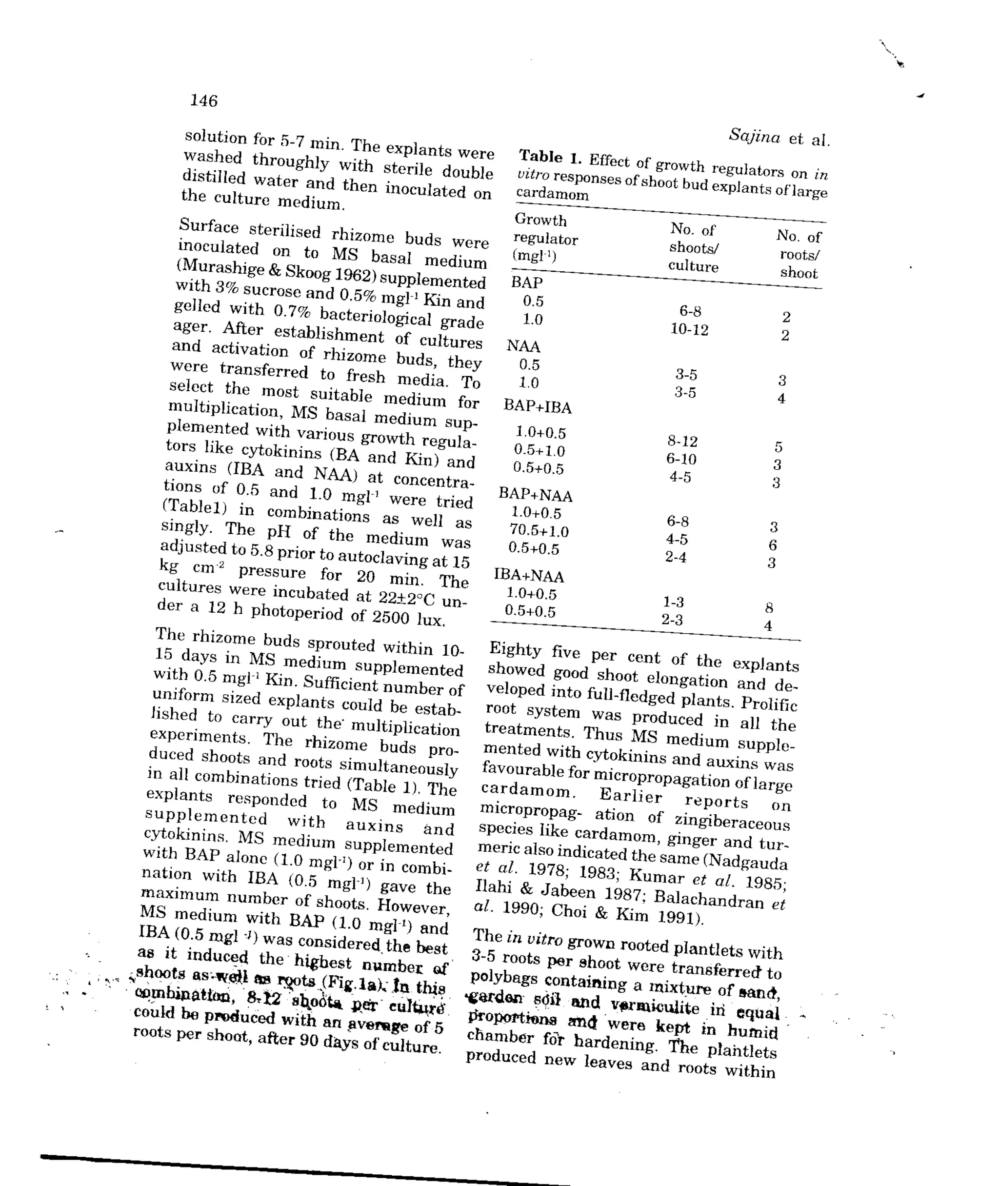 Micropropagation of large_cardamom_amomu (1) | PDF