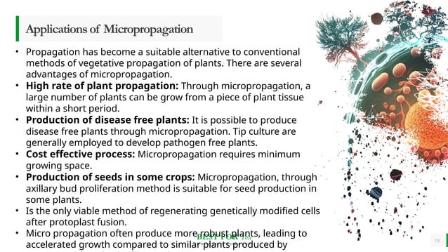 Micropropagation ppt.pptx from Plant biotechnology | PPTX