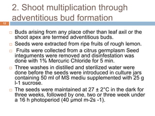 Micropropagation Stage 2 shoot multiplication | PPTX
