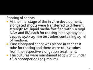 Micropropagation Stage 2 shoot multiplication | PPTX