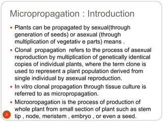 Micropropagation Stage 2 shoot multiplication | PPTX