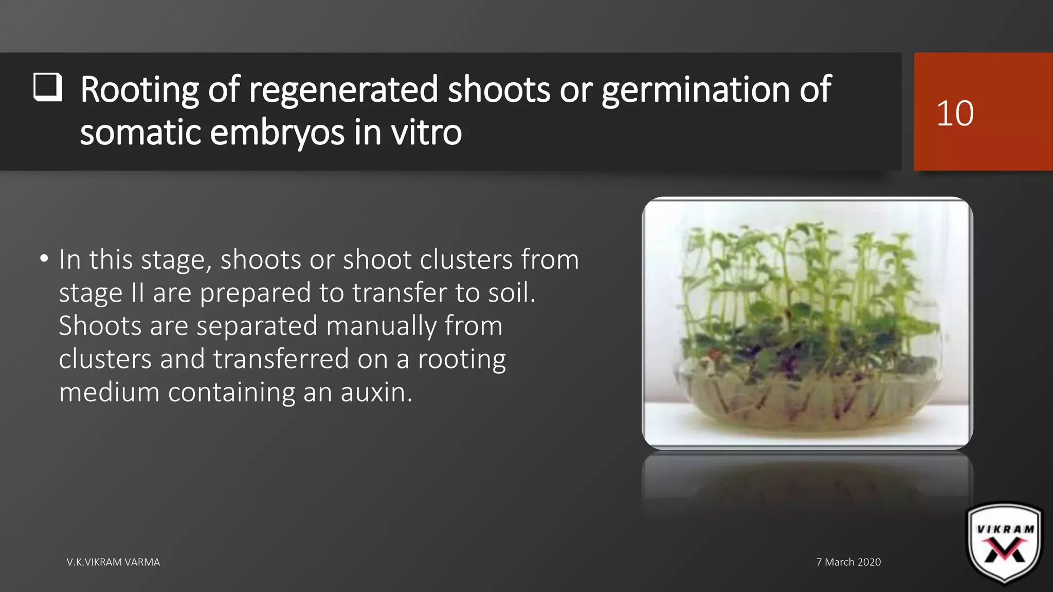 MICROPROPAGATION OF MEDICINAL & AROMATIC PLANTS / CLONAL PROPAGATION | PPTX