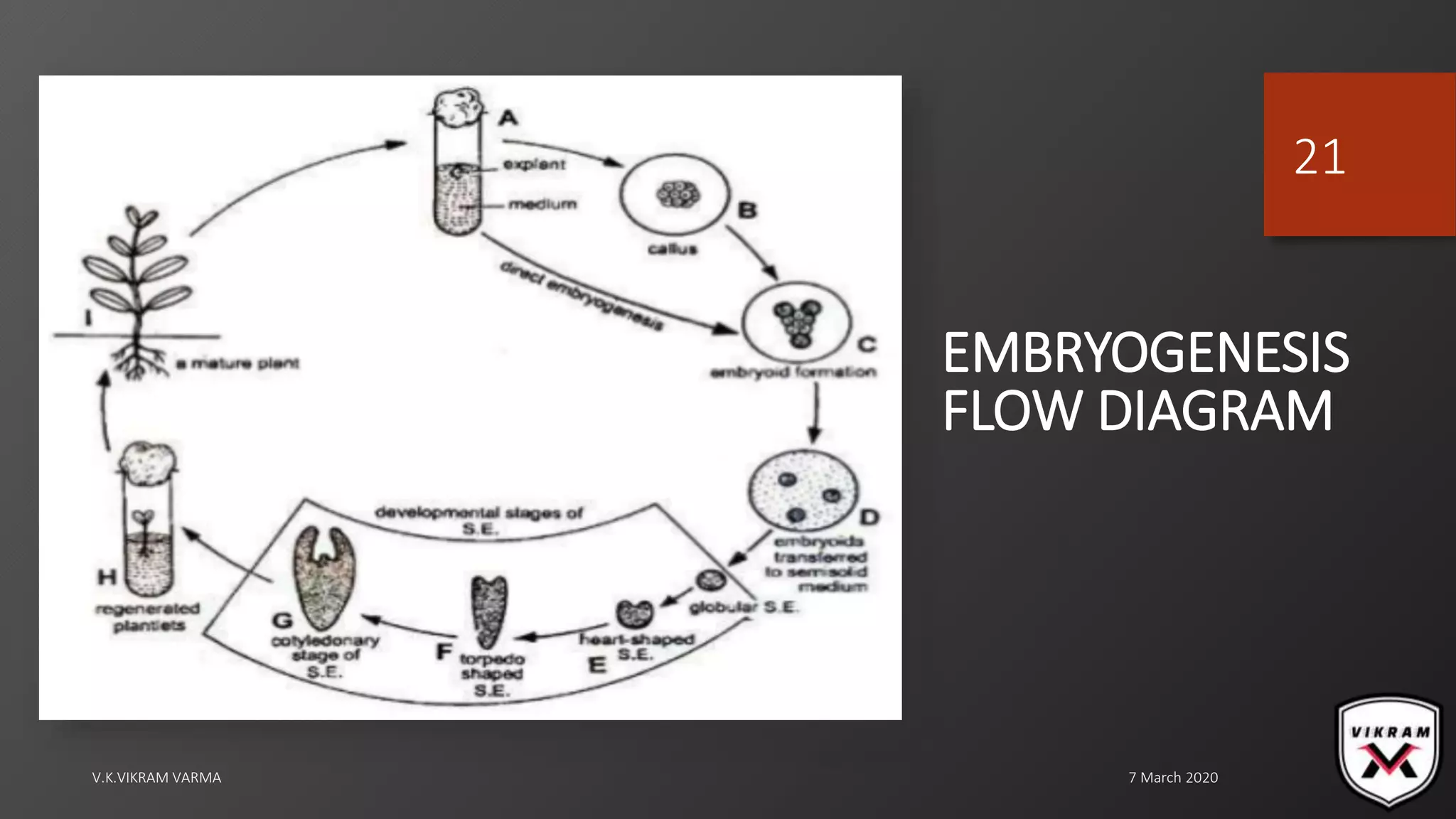 MICROPROPAGATION OF MEDICINAL & AROMATIC PLANTS / CLONAL PROPAGATION | PPTX
