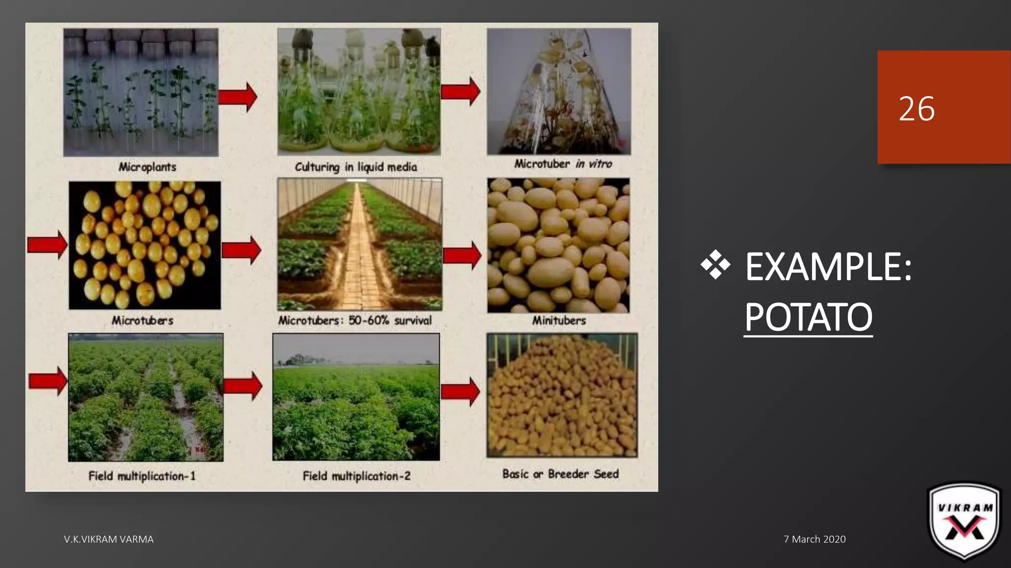 MICROPROPAGATION OF MEDICINAL & AROMATIC PLANTS / CLONAL PROPAGATION | PPTX
