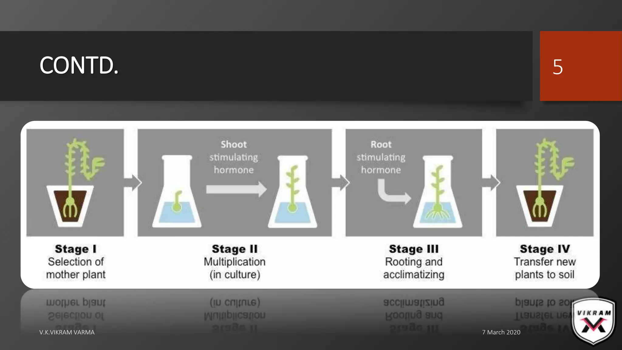MICROPROPAGATION OF MEDICINAL & AROMATIC PLANTS / CLONAL PROPAGATION | PPTX