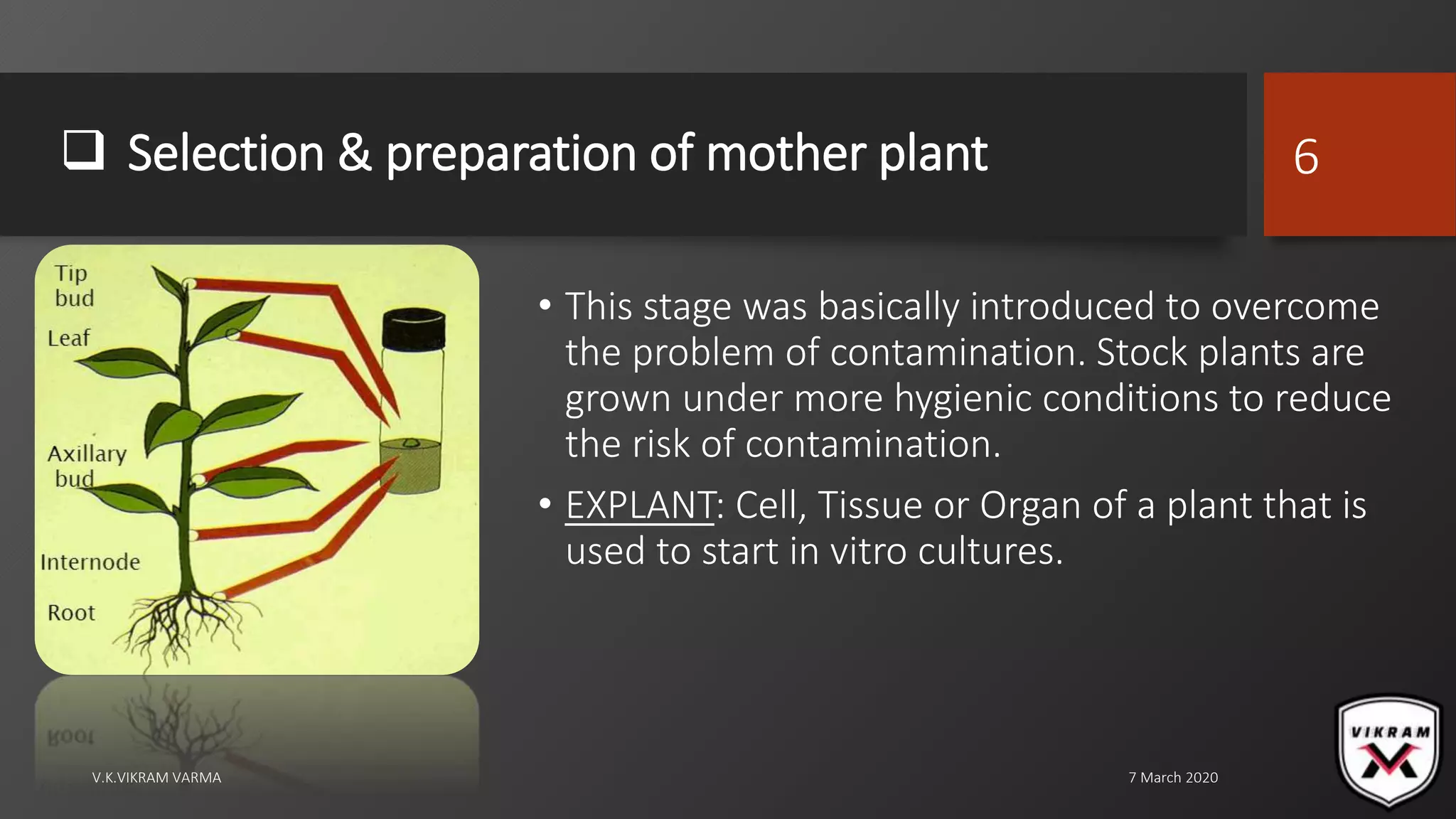 MICROPROPAGATION OF MEDICINAL & AROMATIC PLANTS / CLONAL PROPAGATION | PPTX