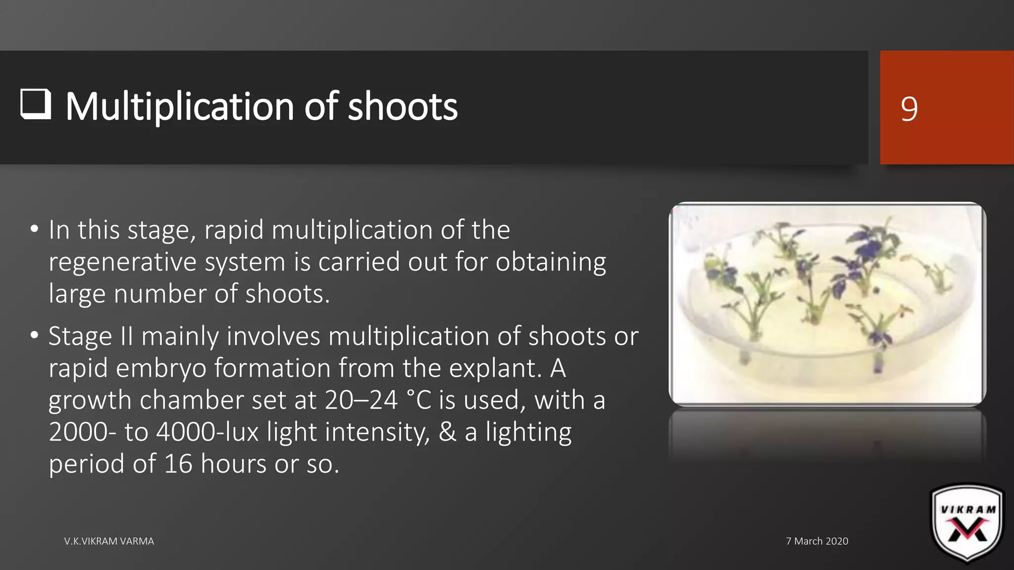 MICROPROPAGATION OF MEDICINAL & AROMATIC PLANTS / CLONAL PROPAGATION | PPTX