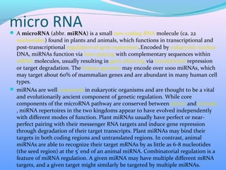 Micro rna | PPT