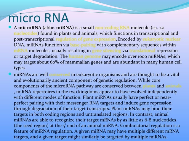 Micro rna | PPT | Biological Sciences | Science