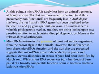 Micro rna | PPT