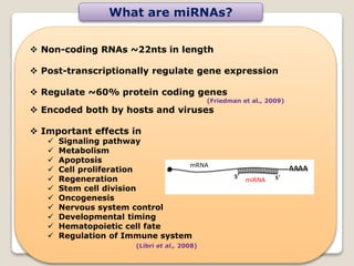 Micro rna | PPTX