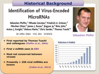 Micro rna | PPTX