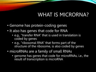 Micro RNA.ppt