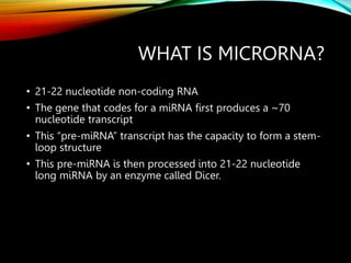 Micro RNA.ppt