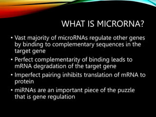 Micro RNA.ppt | Genetics | Science