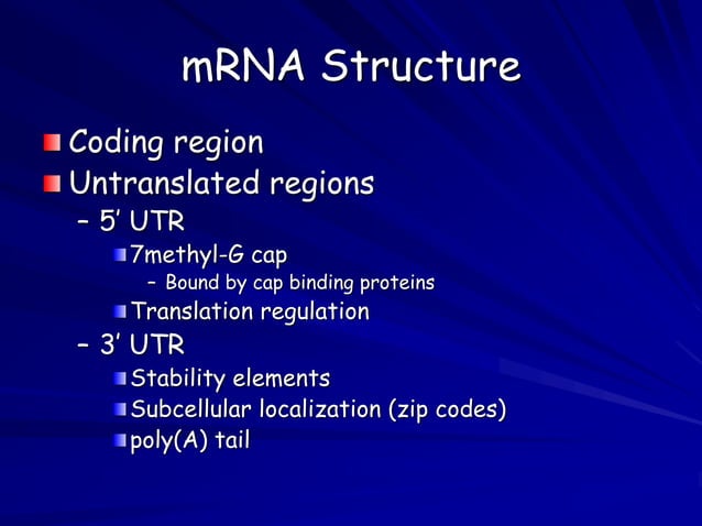 MicroRNA Small noncoding RNA features .ppt