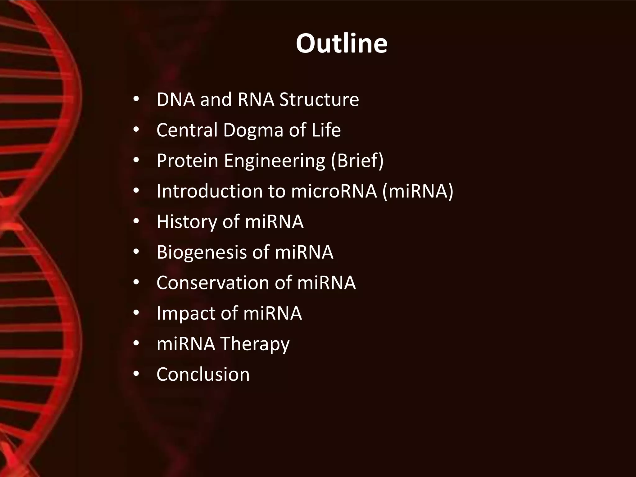 microRNA “miRNA”mi RNA | PPTX