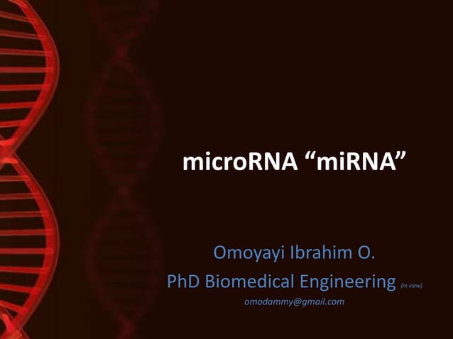 microRNA “miRNA”mi RNA | PPTX