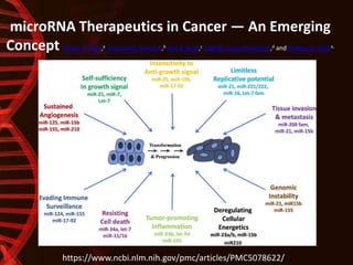 microRNA “miRNA”mi RNA | PPTX