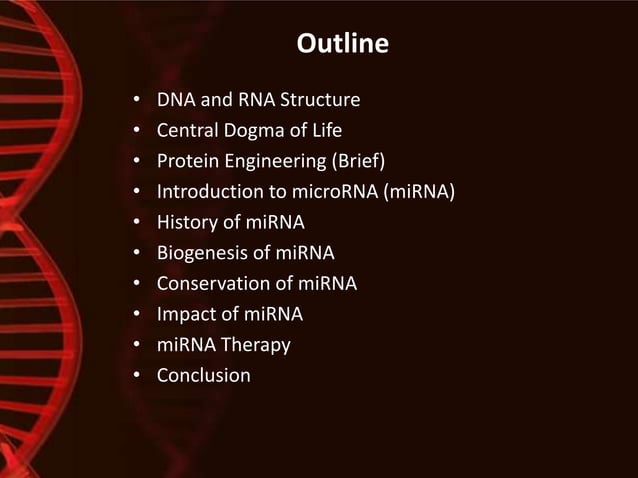 microRNA “miRNA”mi RNA | PPTX