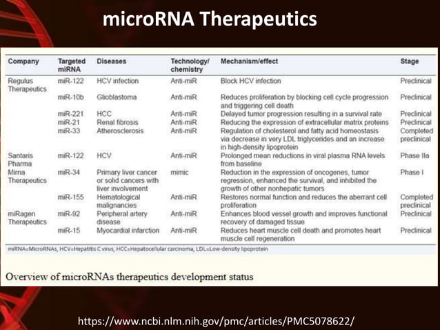 microRNA “miRNA”mi RNA | PPTX