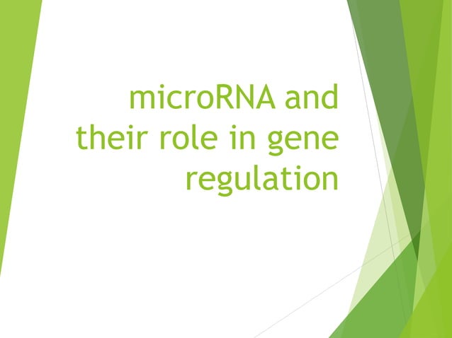 MicroRNA and thier role in gene regulation | PPTX | Programming ...