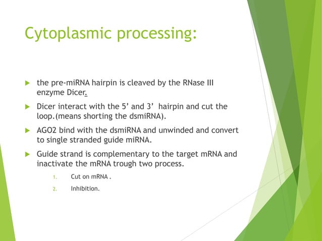 MicroRNA and thier role in gene regulation | PPTX | Programming Languages | Computing