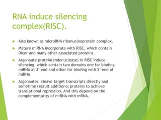 MicroRNA and thier role in gene regulation | PPTX
