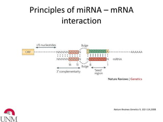 Micro rna diagnostics and therapeutics in acute kidney injury | PPTX