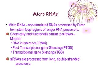 Micro RNAs | PPT