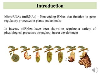 Micro RNA's | PPTX