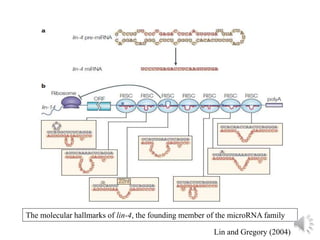 Micro RNA's | PPTX