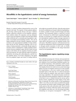 MicroRNAs in the hypothalamic control of energy homeostasis.pdf