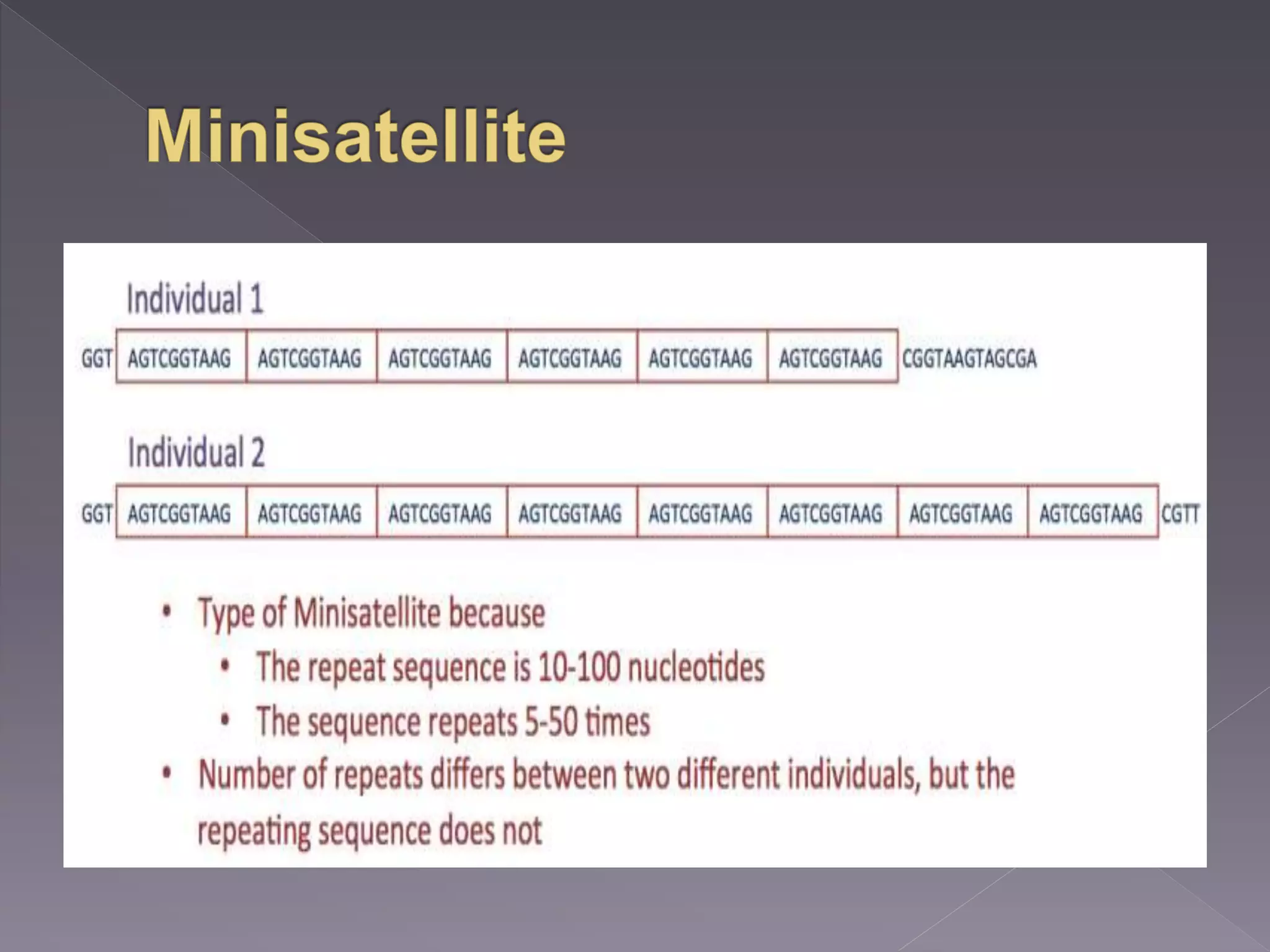 Microsatellite | PPTX