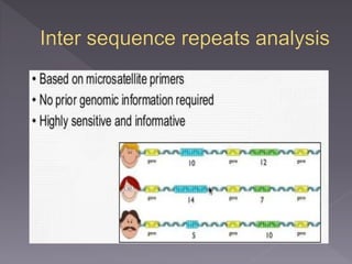 Microsatellite | PPTX