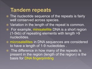 Microsatellite | PPTX