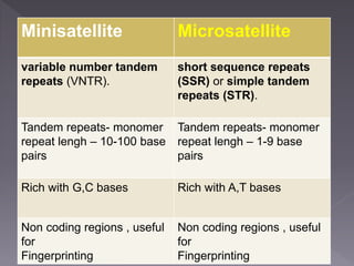 Microsatellite | PPTX