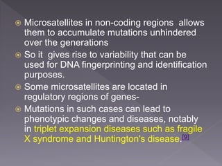 Microsatellite | PPTX