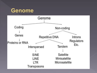 Microsatellite | PPTX