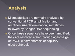 Microsatellite | PPTX