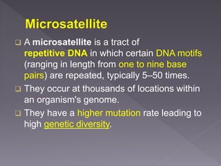 Microsatellite | PPTX