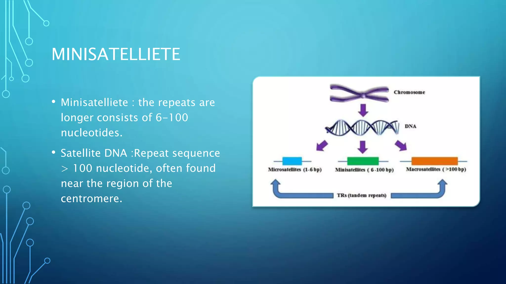 Microsatellite instability pathway and molecular genetics of colorectal cancer | PPTX
