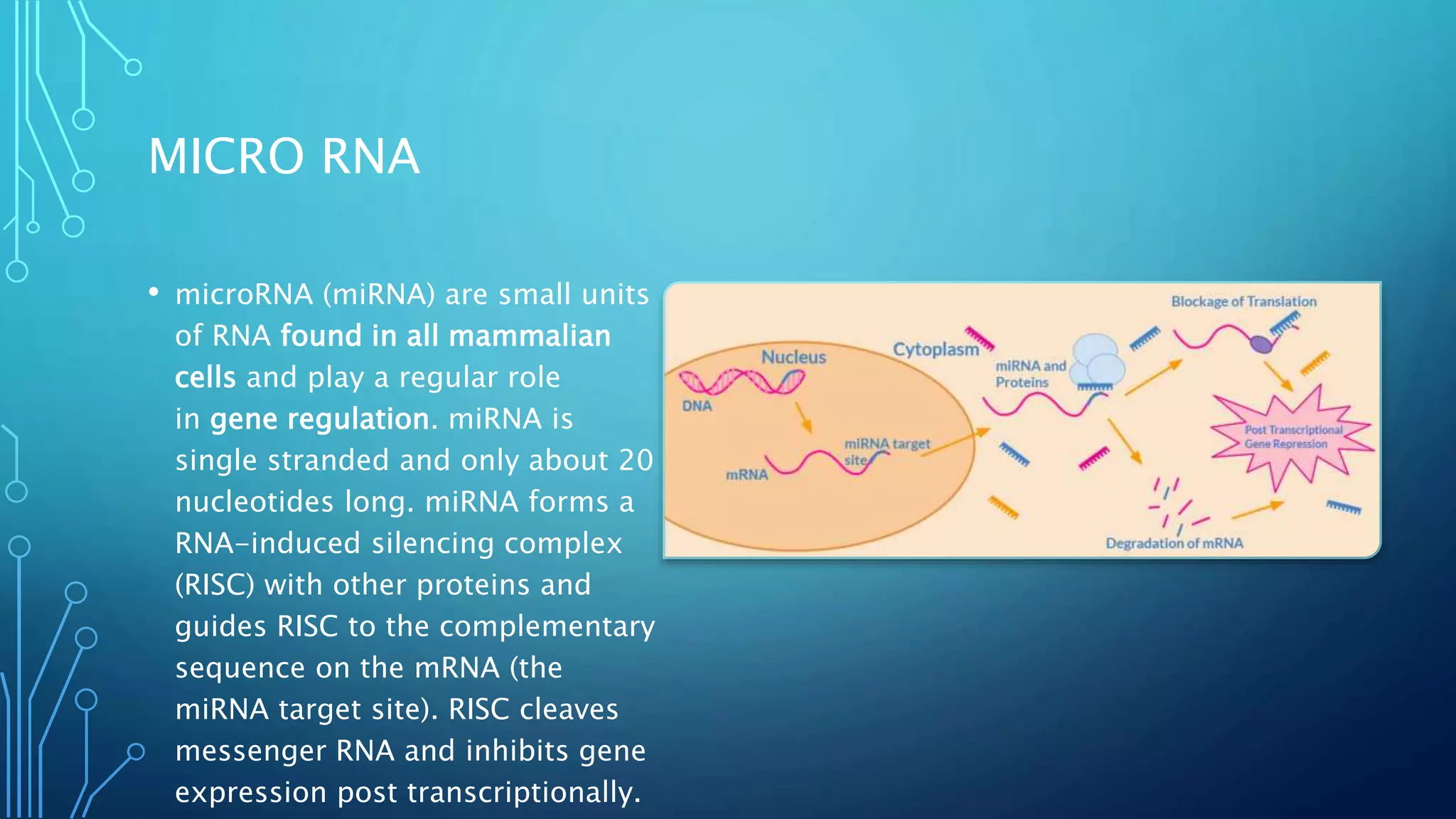 Microsatellite instability pathway and molecular genetics of colorectal ...