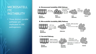 Microsatellite instability pathway and molecular genetics of colorectal ...