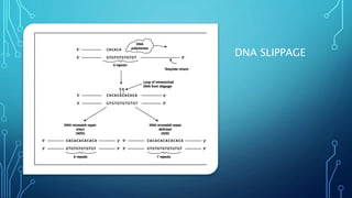 Microsatellite instability pathway and molecular genetics of colorectal ...