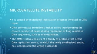 Microsatellite instability pathway and molecular genetics of colorectal ...