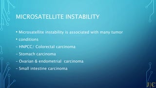 Microsatellite instability pathway and molecular genetics of colorectal ...