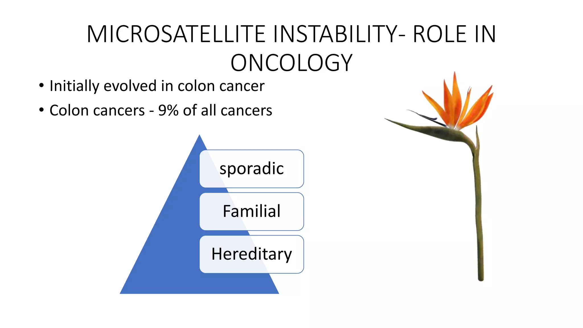 Microsatellite instability - What is it? How to test? Applications in ...
