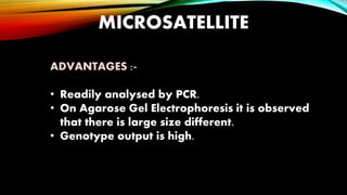 Microsatellite(ssr,str,vntr) | PPTX